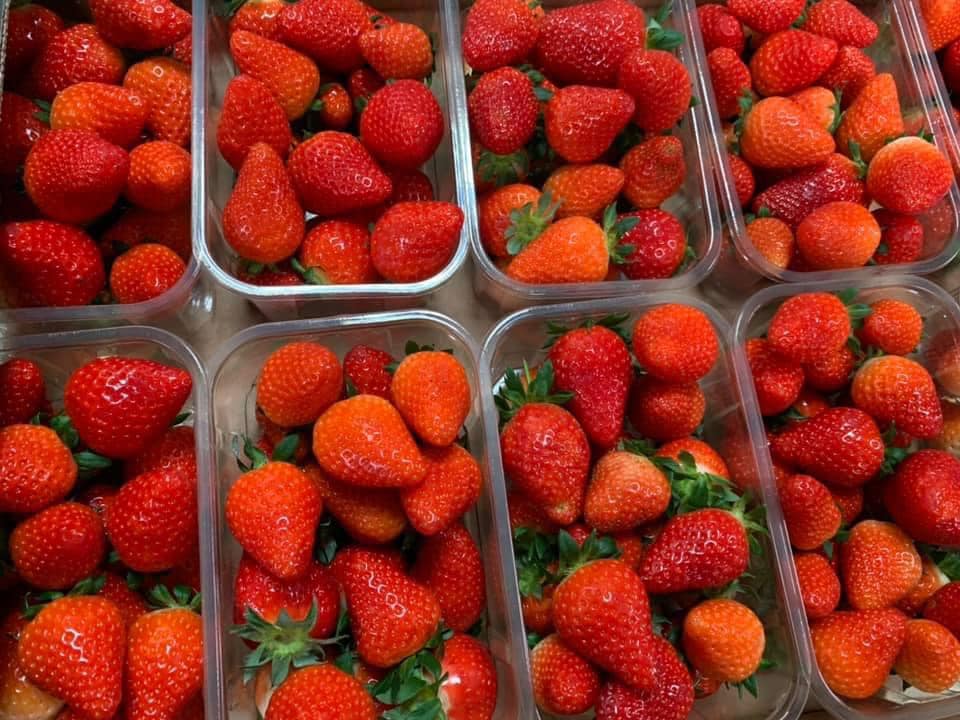 First of the season British Strawberries