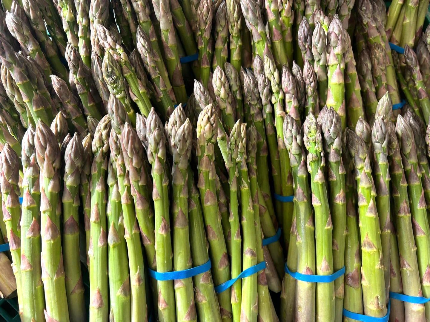 Happy National Asparagus Day!